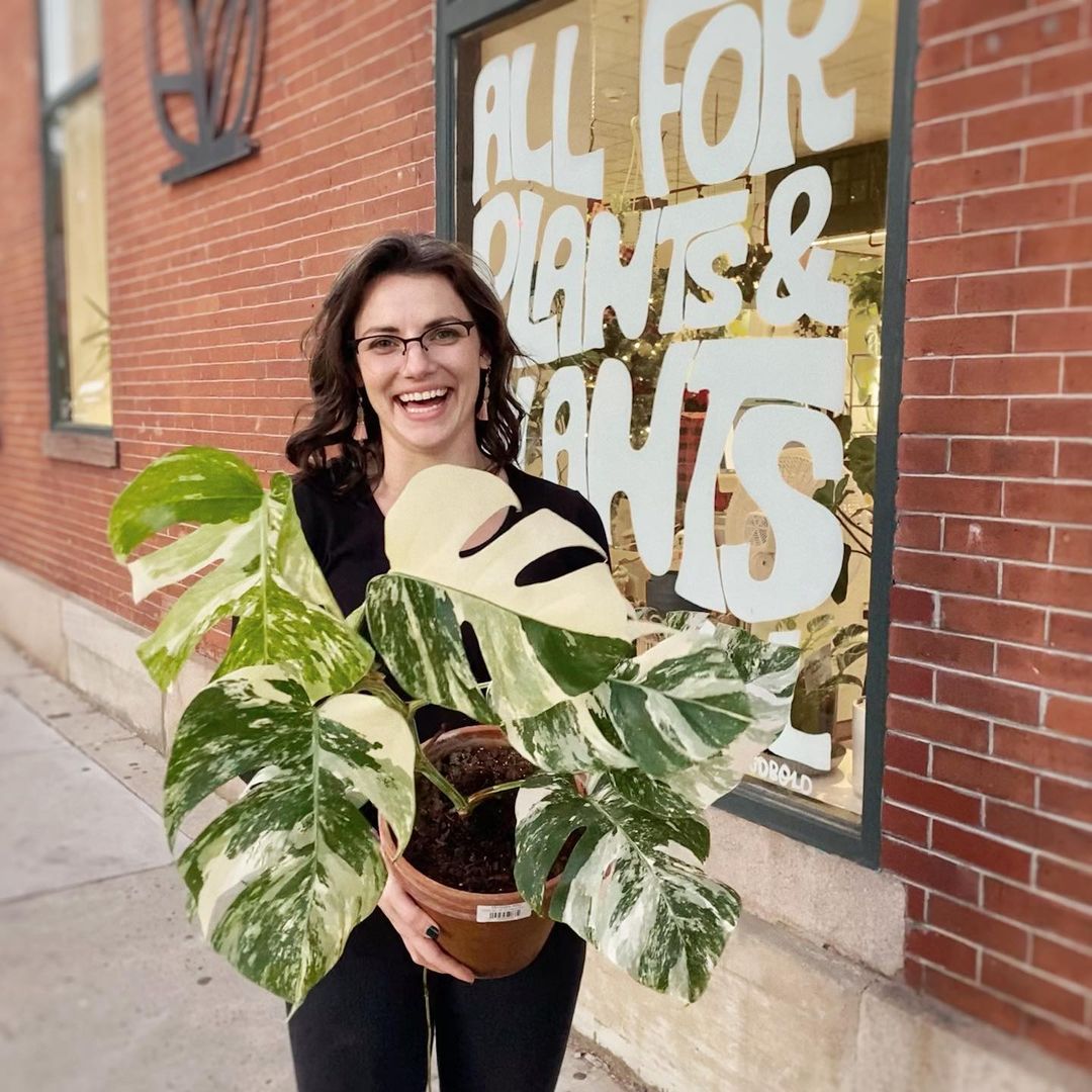 Emily's Corner: An Introduction – Bark & Vine